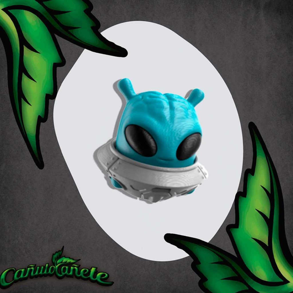 Cogonauts Unaki – Cañuto Cañete – Cultivos Patagónicos