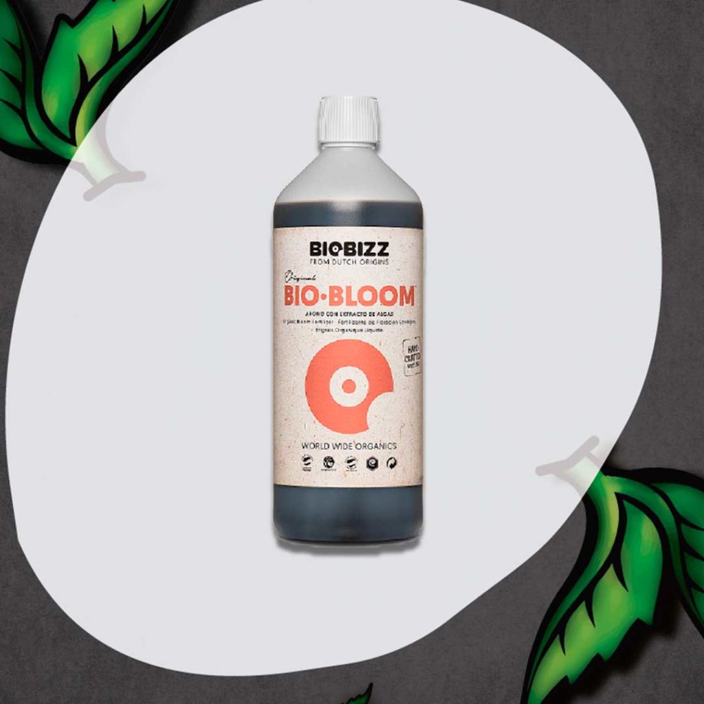 BIOBIZZ Bio·Bloom – Cañuto Cañete – Cultivos Patagónicos